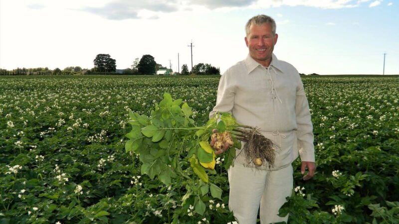 Eesti kartul. Värvilised ning vanaaegsed kartulid, spargelkartul