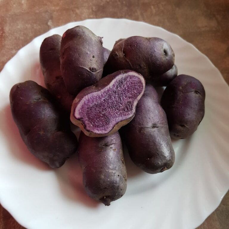 Gurmeekartulid ja vanaaegsed kartulid