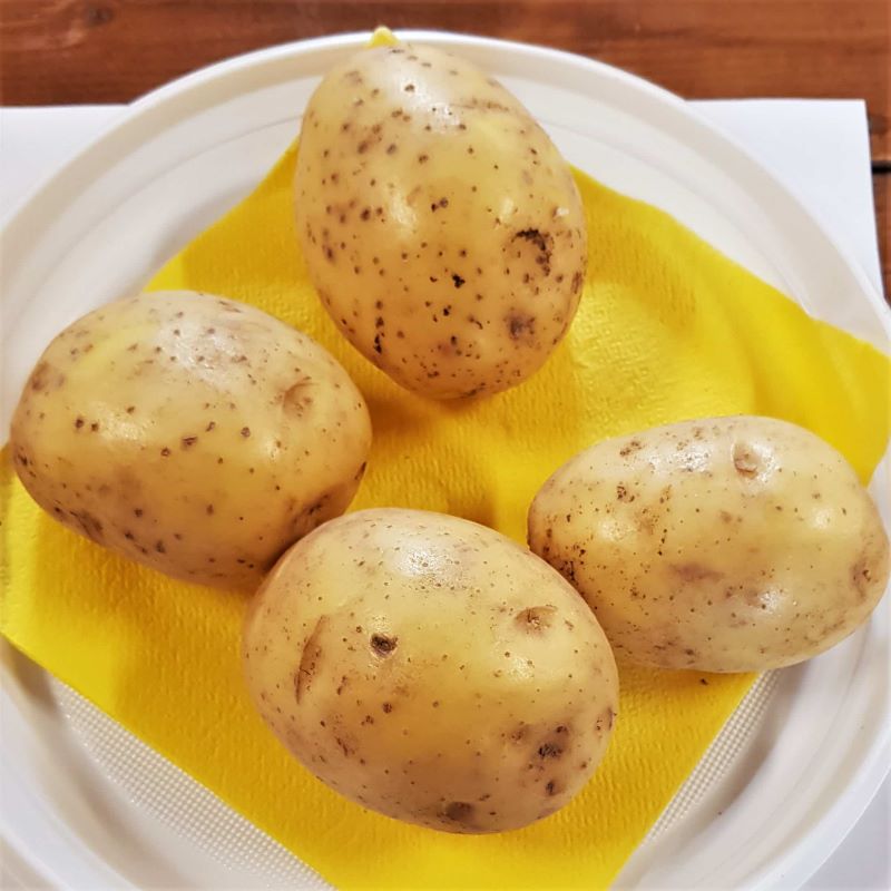 Eestis kasvavad kartulisordid. Vanaaegsed ja värvilised kartulid